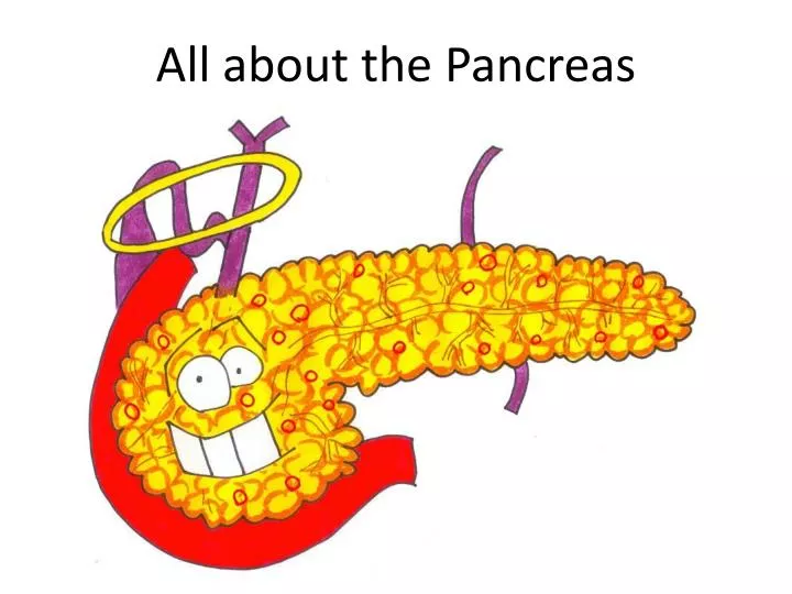 PPT - All about the Pancreas PowerPoint Presentation, free download ...