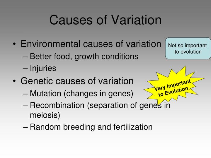 PPT - Evolution and Diversity of Life PowerPoint Presentation - ID:6406912