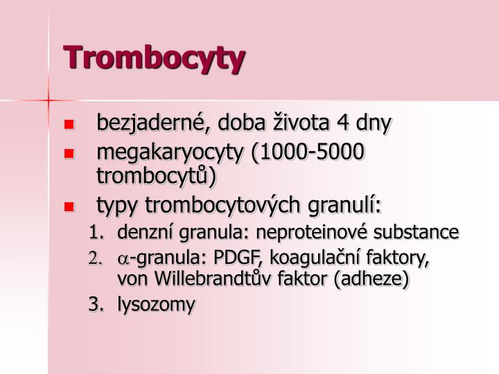 PPT - Patofyziologie krvetvorby a koagulace PowerPoint Presentation ...