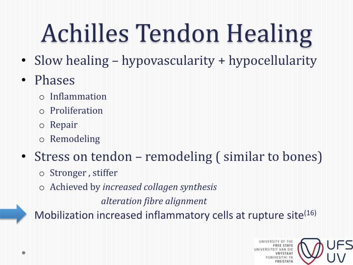 Ppt Achilles Tendon Injuries Powerpoint Presentation Id6408022