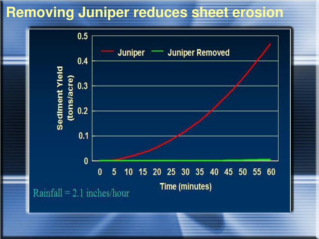 PPT - The Impact of Western Juniper on Hillslope Hydrology in Steens ...