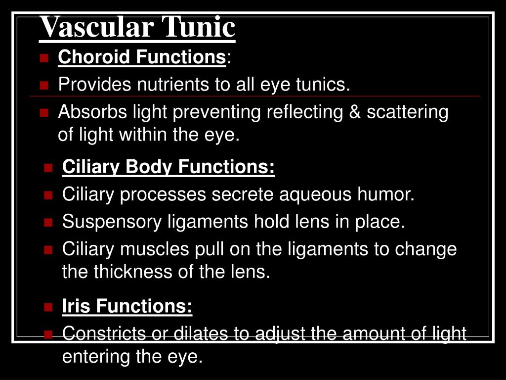PPT - Human Anatomy PowerPoint Presentation, free download - ID:6409039
