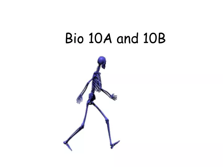 PPT - Bio 10A and 10B PowerPoint Presentation, free download - ID:6409190