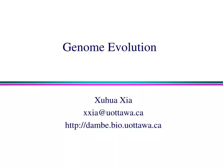 PPT - Genome Evolution PowerPoint Presentation, free download - ID:6409627
