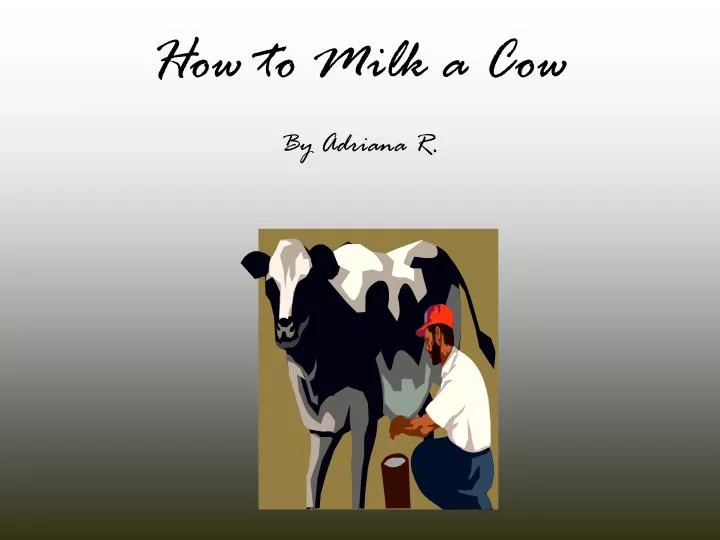 PPT - How to Milk a Cow PowerPoint Presentation, free download - ID:6409758