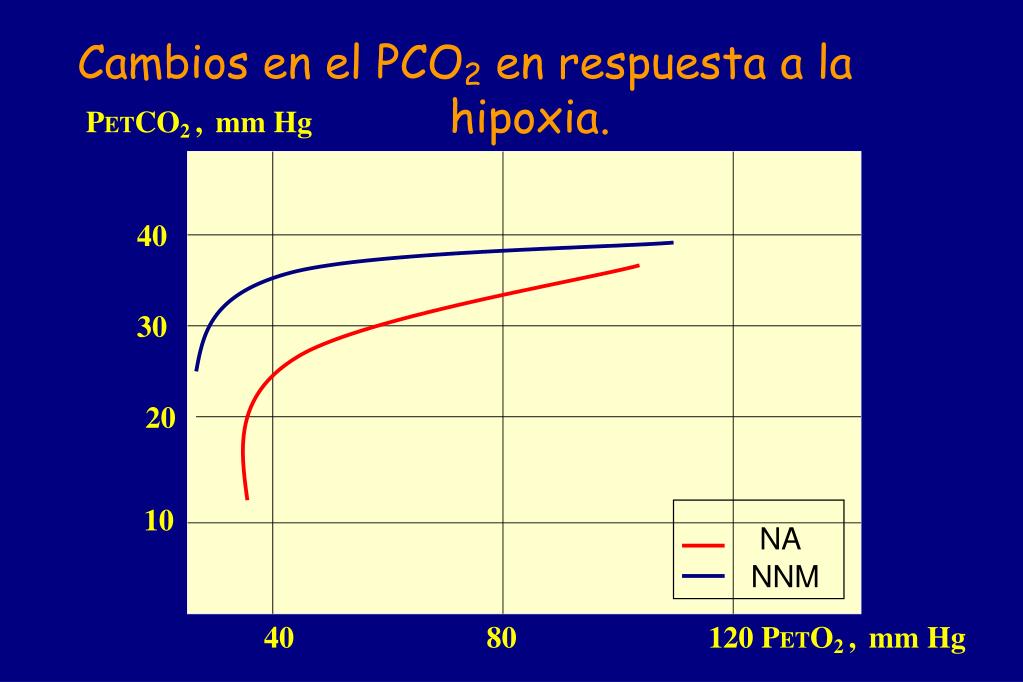 PPT - Mecánica y Dinámica pulmonar Transporte de Gases PowerPoint ...