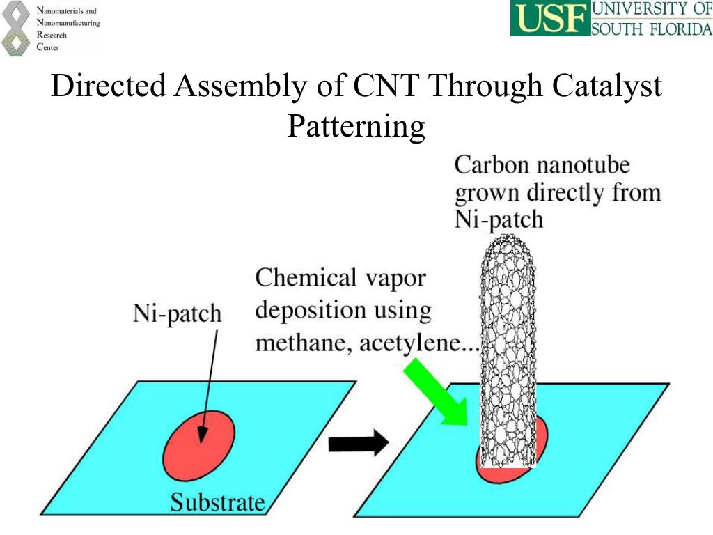 PPT - Manufacture of High Aspect Ratio Carbon Nanotube Atomic Force ...