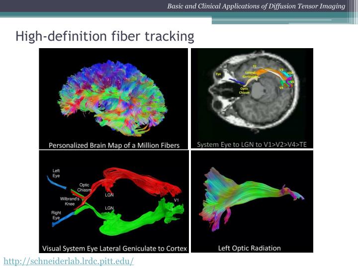 PPT - INTBP2100 Biology of Vision - Imaging of the Visual System with ...