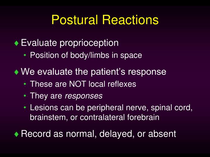 PPT - Neurological Exam and Localization PowerPoint Presentation - ID ...