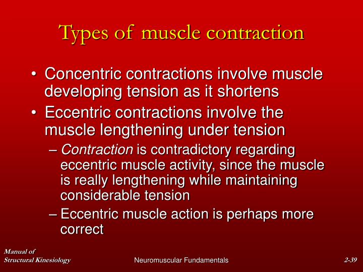 PPT - Chapter 2 Neuromuscular Fundamentals PowerPoint Presentation - ID ...