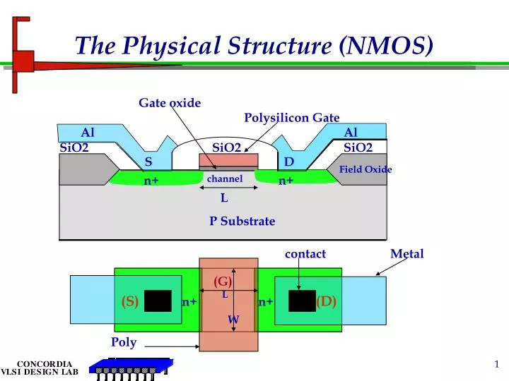 PPT - The Physical Structure (NMOS) PowerPoint Presentation, free ...