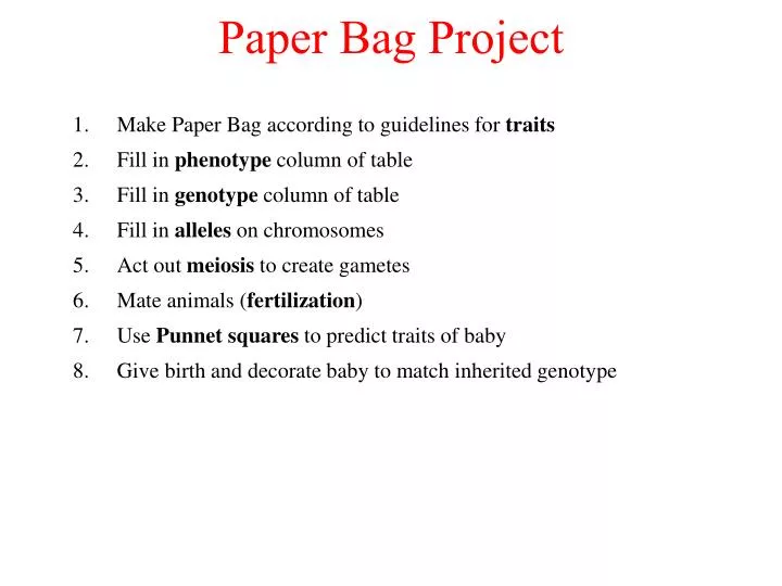 PPT - Paper Bag Project PowerPoint Presentation, free download - ID:6415321