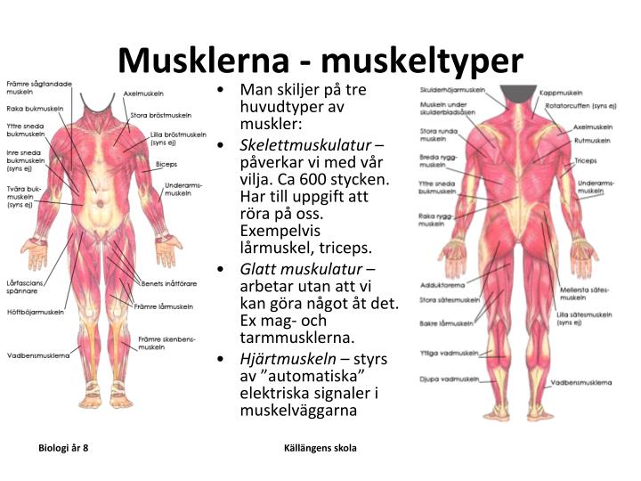 PPT - HUDEN PowerPoint Presentation - ID:6415535