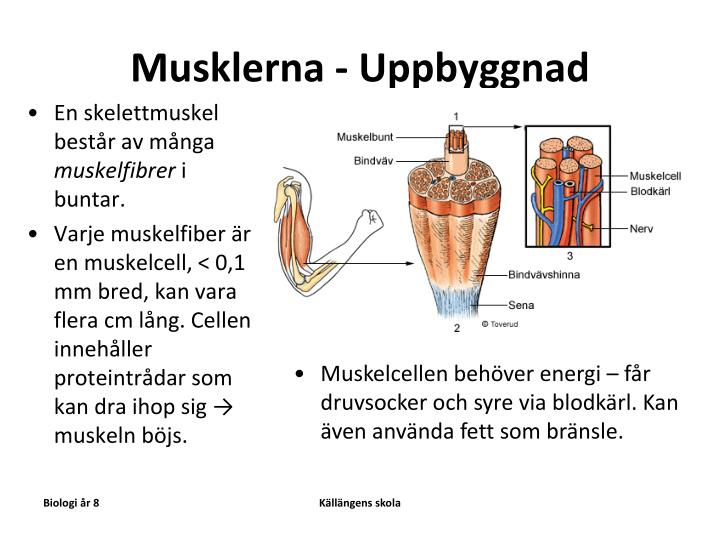 PPT - HUDEN PowerPoint Presentation - ID:6415535