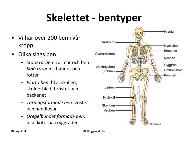 PPT - HUDEN PowerPoint Presentation - ID:6415535