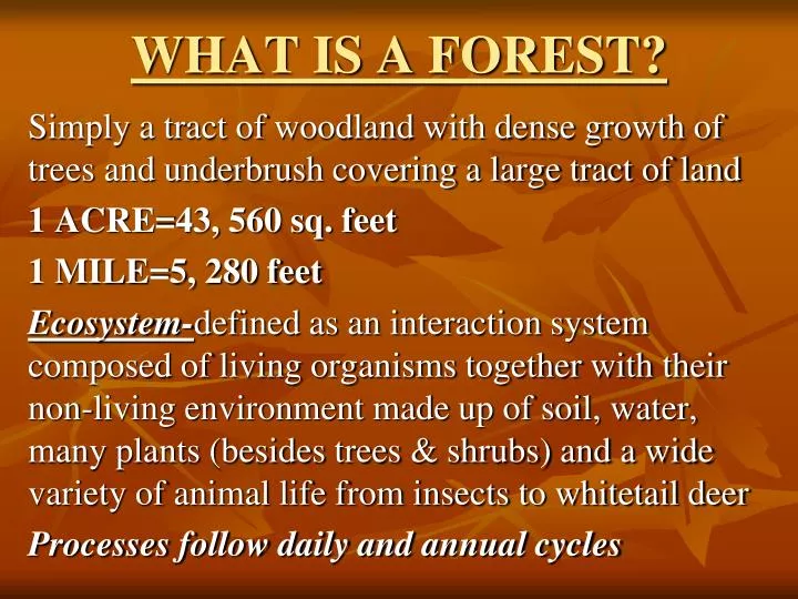PPT - WHAT IS A FOREST? PowerPoint Presentation, free download - ID:6416391
