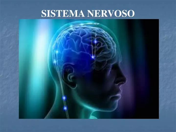PPT - SISTEMA NERVOSO PowerPoint Presentation, free download - ID:6417695