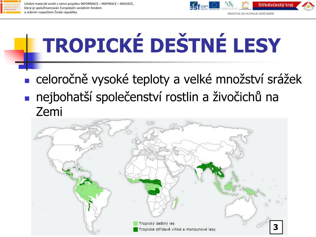 PPT - TROPICKÝ PÁS Tropický deštný les PowerPoint Presentation - ID:6424485
