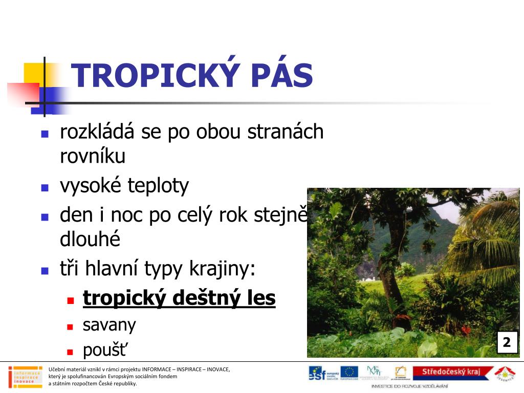 PPT - TROPICKÝ PÁS Tropický deštný les PowerPoint Presentation - ID:6424485
