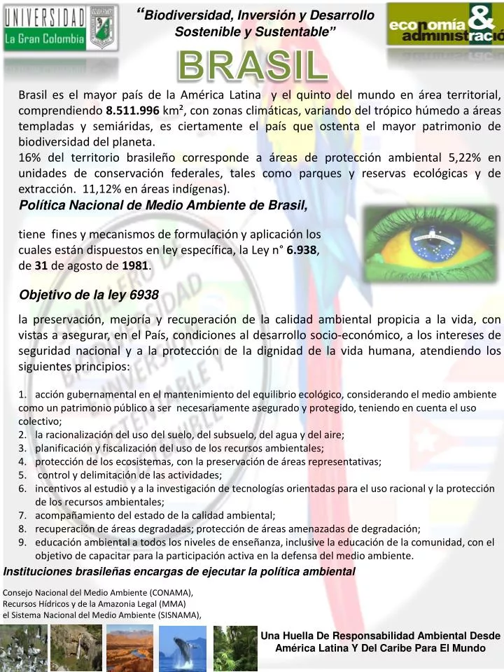 PPT - BRASIL PowerPoint Presentation, free download - ID:6424635