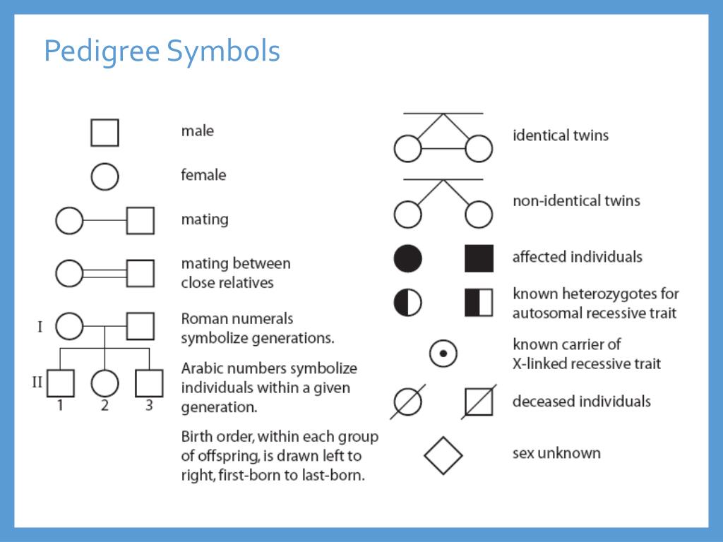 Pedigree Chart Symbols Class 12 Genetic Pedigree Symbols
