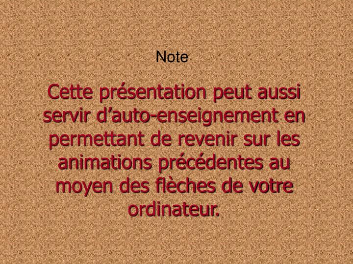 PPT - Prévention et réparation de la déchirure périnéale PowerPoint Presentation - ID:6425936