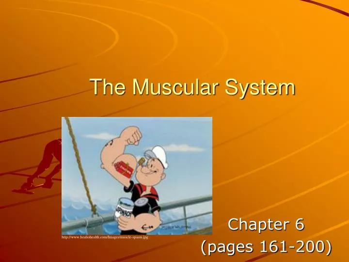 PPT - The Muscular System PowerPoint Presentation, free download - ID ...