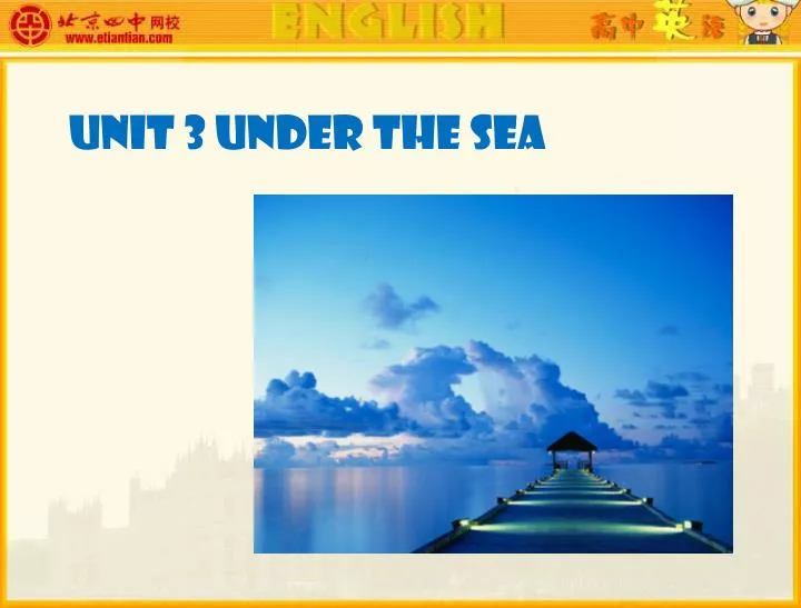 PPT - Unit 3 Under the sea PowerPoint Presentation, free download - ID ...