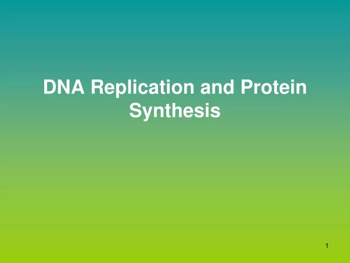 PPT - DNA Replication and Protein Synthesis PowerPoint Presentation ...