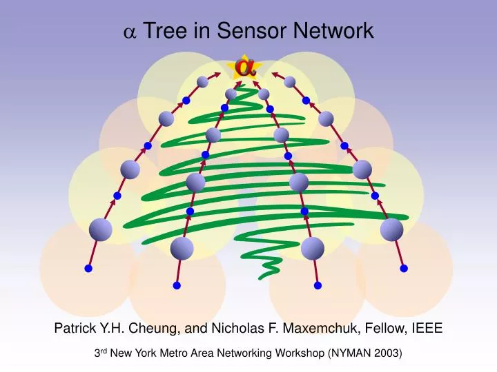 Ppt Tree In Sensor Network Powerpoint Presentation Free Download Id 6430763