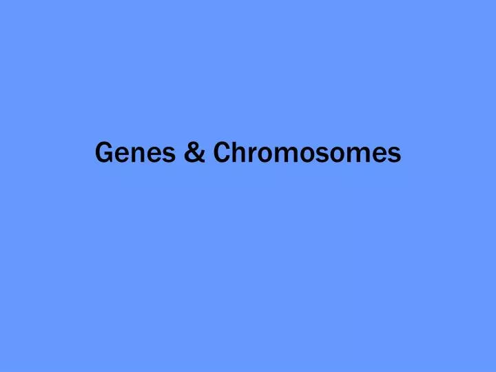 PPT - Genes & Chromosomes PowerPoint Presentation, free download - ID ...