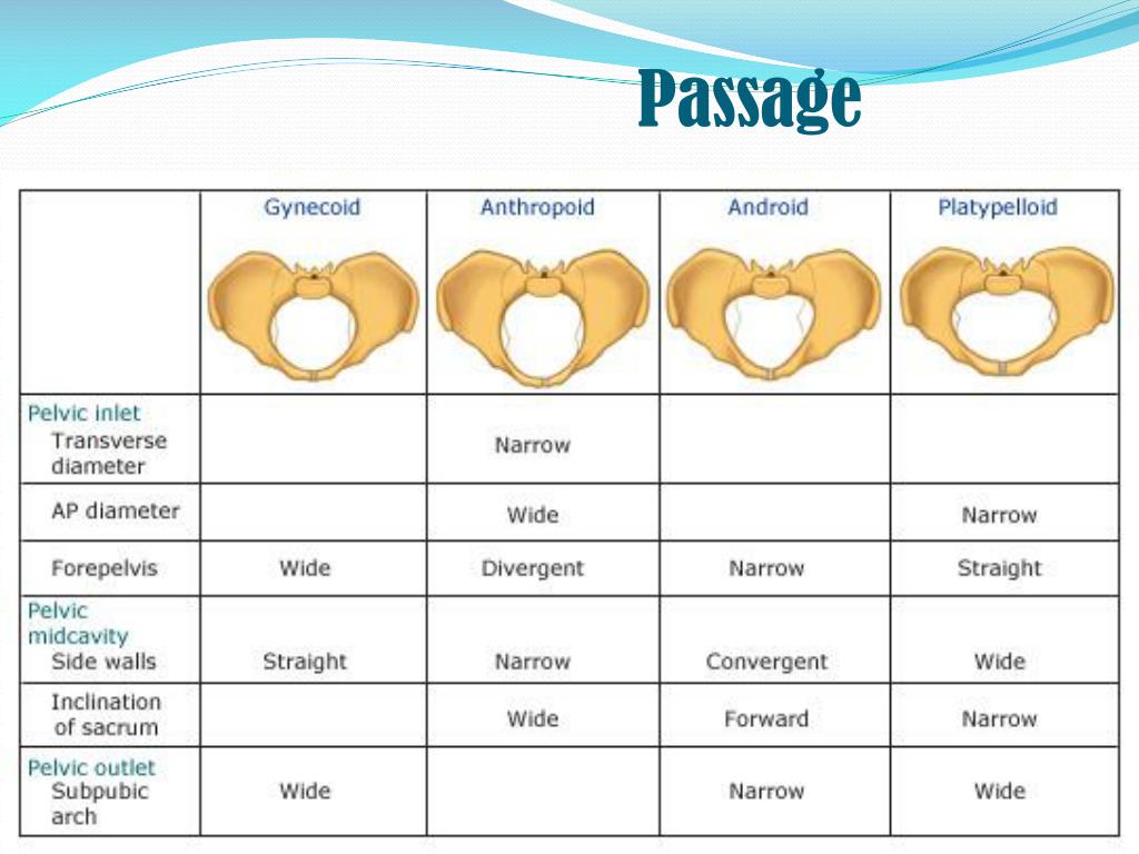 PPT - Physiology of delivery. Analgesia in labor. PowerPoint ...