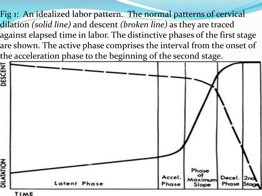 PPT - Physiology of delivery. Analgesia in labor. PowerPoint ...