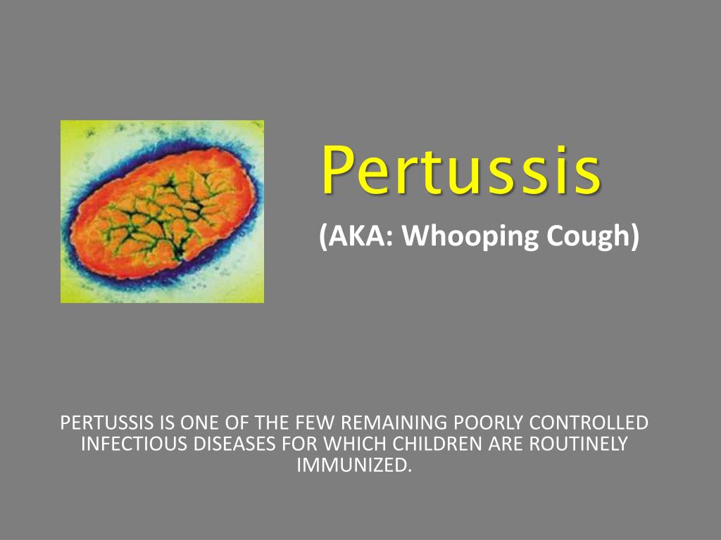 PPT - Cocooning Messages for the Practicing Pediatrician Laura Sally ...