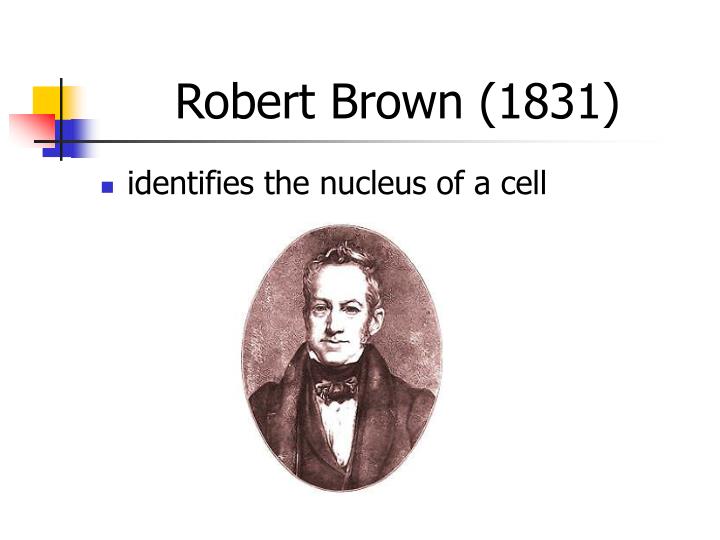 PPT - Introduction to Cytology or Cell Biology PowerPoint Presentation ...