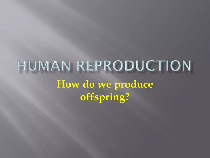 PPT - Human Reproduction PowerPoint Presentation, free download - ID ...