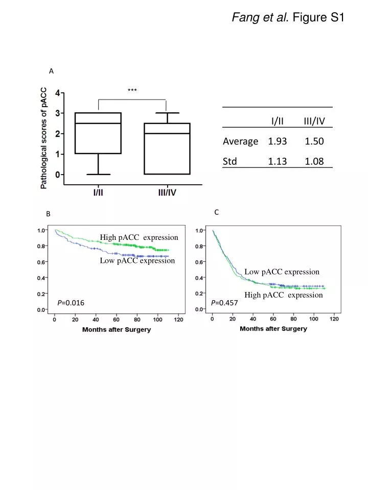 PPT - High pACC expression PowerPoint Presentation, free download - ID ...