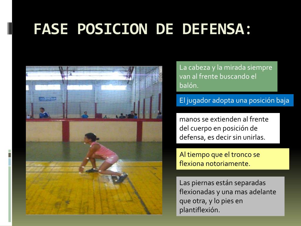 PPT - OSCAR CARDONA PowerPoint Presentation, free download - ID:6443369