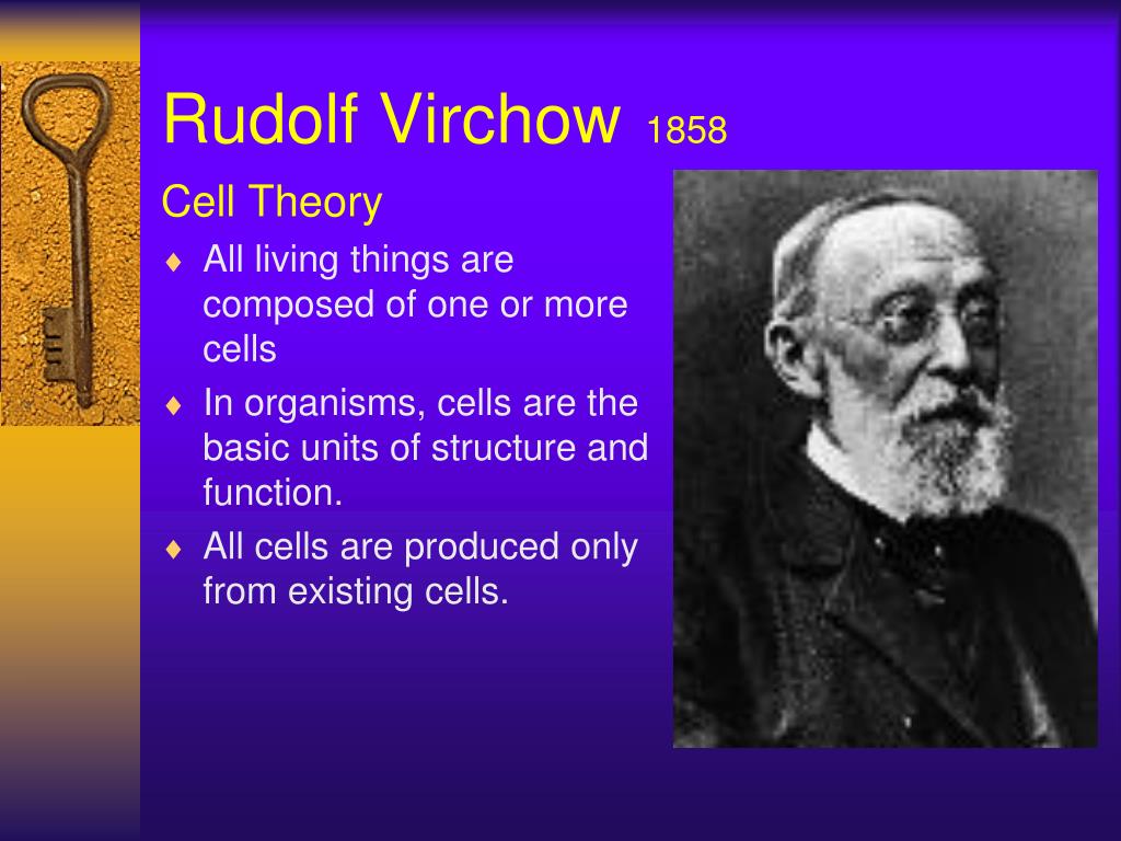 Ppt Cell Discovery And Cell Theory Powerpoint Presentation Free Download Id6445762