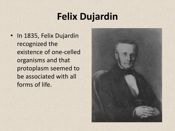 PPT - The Cell Theory PowerPoint Presentation - ID:6446199