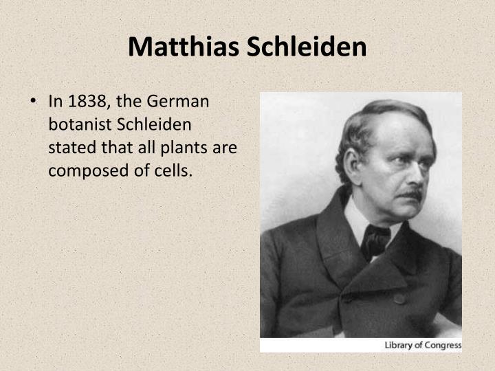 PPT - The Cell Theory PowerPoint Presentation - ID:6446199