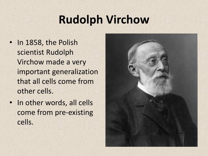 PPT - The Cell Theory PowerPoint Presentation - ID:6446199
