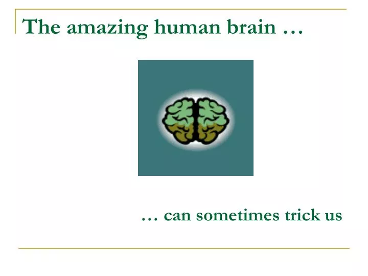 PPT - The amazing human brain … PowerPoint Presentation, free download ...