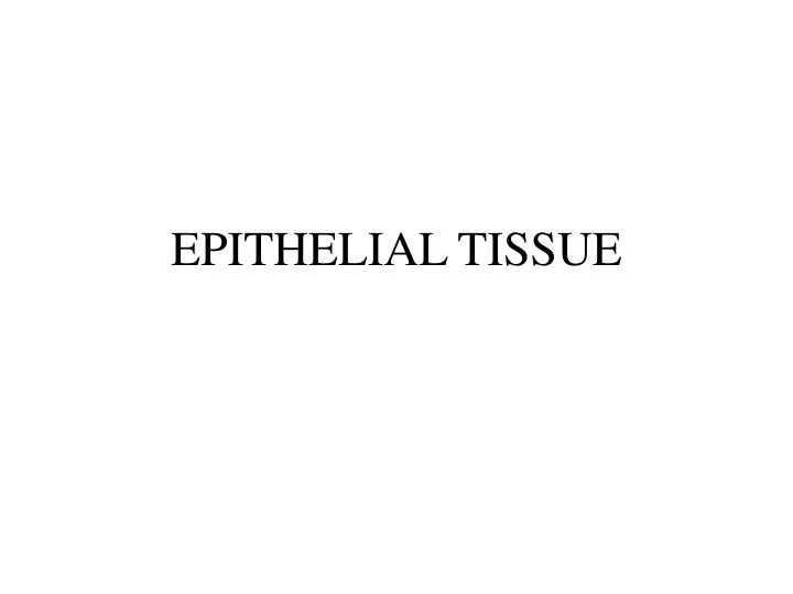 Ppt Epithelial Tissue Powerpoint Presentation Free Download Id 6448970