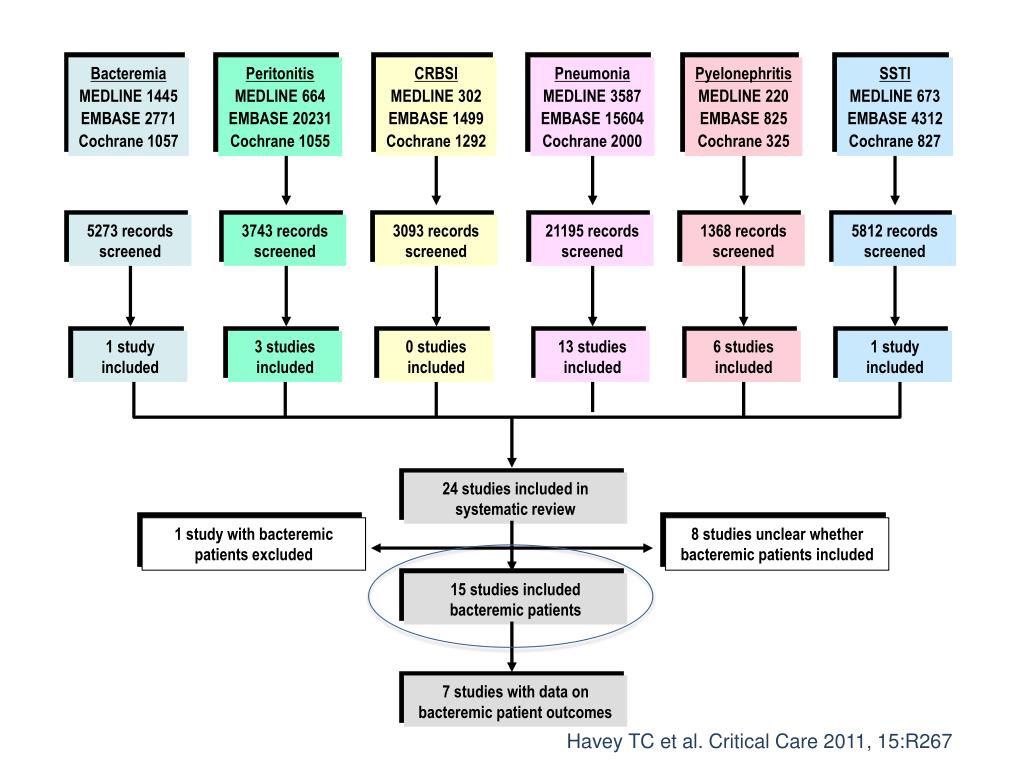 PPT - Charles Feldman Professor of Pulmonology Charlotte Maxeke ...