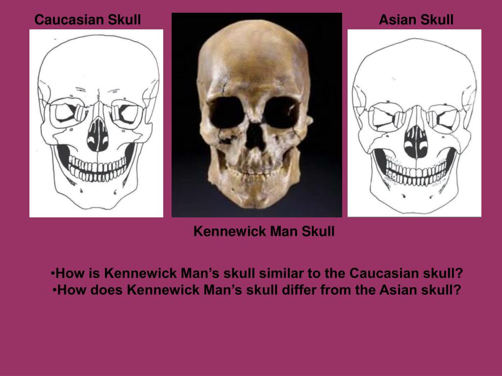 PPT - Kennewick Man: Science vs. Sacred Rights ( Why Should we Care ...