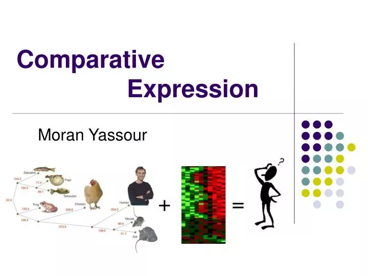PPT - Comparative Expression PowerPoint Presentation, free download ...