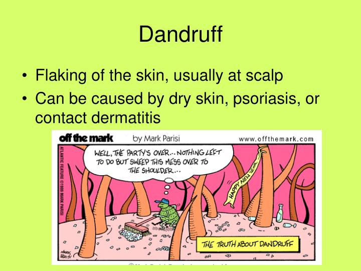 PPT - anatomy.wisc/courses/gross/ PowerPoint Presentation - ID:6450984