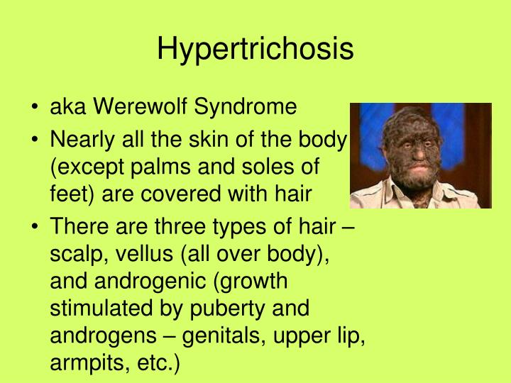 PPT - anatomy.wisc/courses/gross/ PowerPoint Presentation - ID:6450984