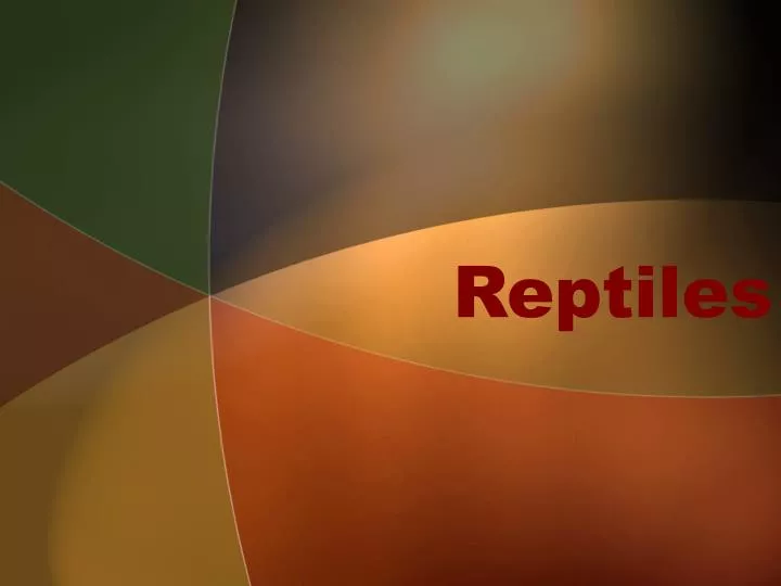 PPT - Reptiles PowerPoint Presentation, free download - ID:6454403